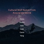 75+ Names That Mean Wolf: Powerful & Unique Choices for Your Pack ...