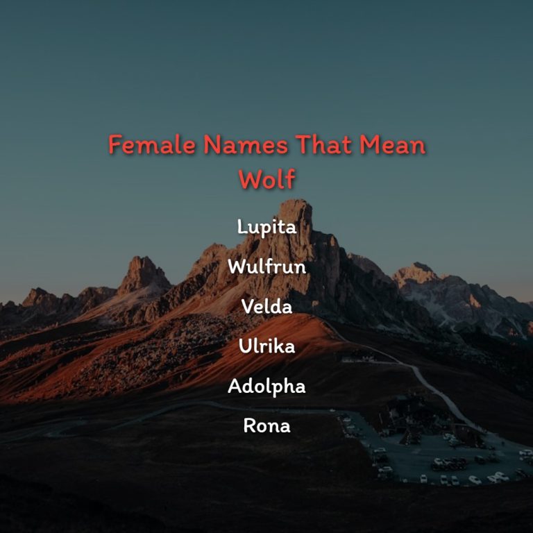 75+ Names That Mean Wolf: Powerful & Unique Choices for Your Pack ...