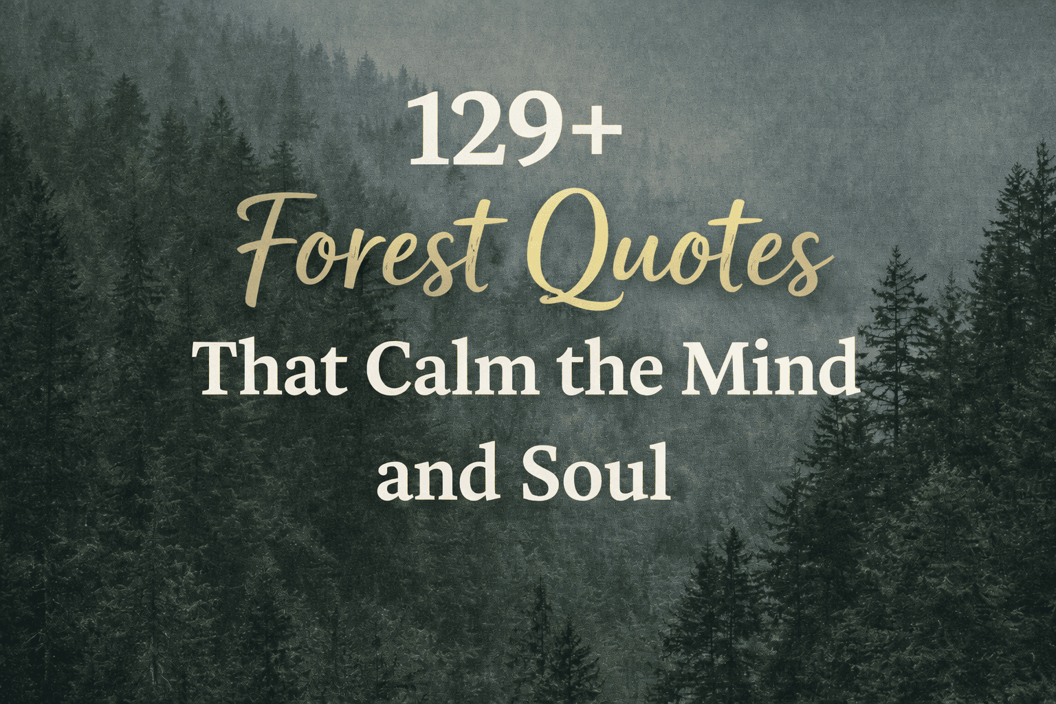 129+ Forest Quotes That Calm the Mind and Soul - Dynamic Diaries