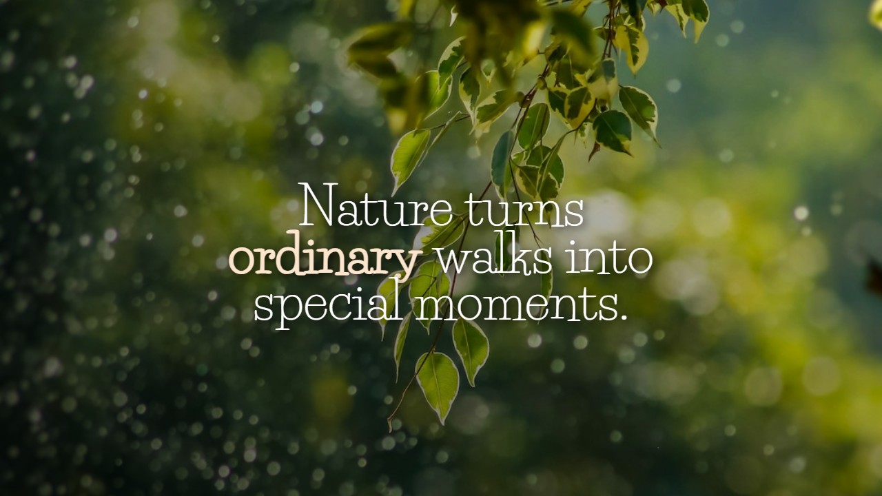 122+ Nature Love Quotes That Calm the Soul - Dynamic Diaries